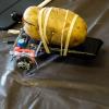 Taylor Made: Potato cars and stem cells | Mechanical Science ...