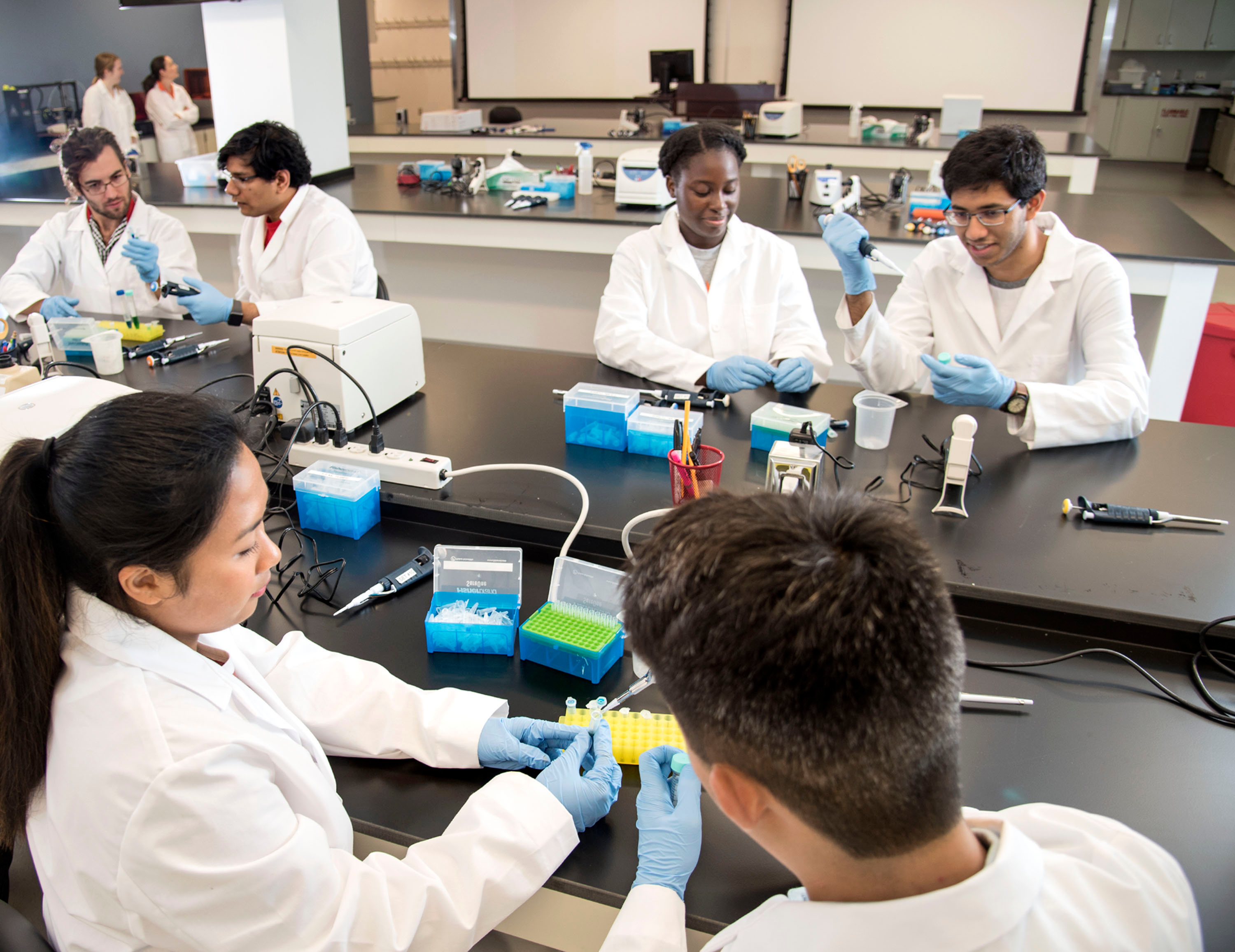 Undergraduate | Bioengineering | UIUC