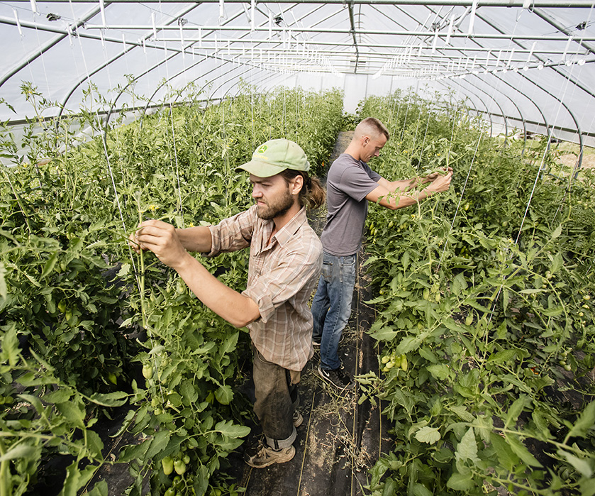 Agricultural and Biological Engineering | The Grainger College of ...