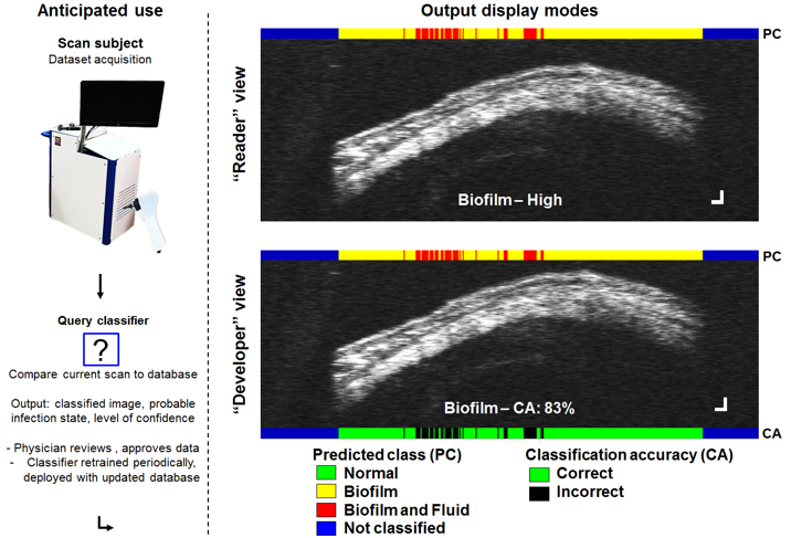 AI-driven optical imaging | Biophotonics Imaging Laboratory | UIUC