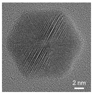 Hong Yang | Chemical and Biomolecular Engineering | UIUC