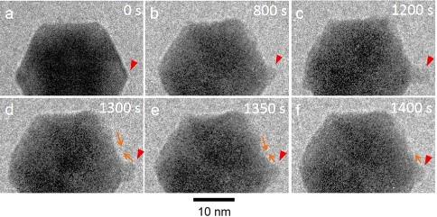Hong Yang | Chemical and Biomolecular Engineering | UIUC