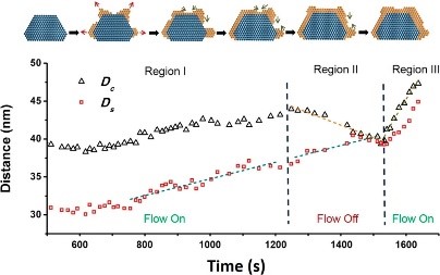 Hong Yang | Chemical and Biomolecular Engineering | UIUC