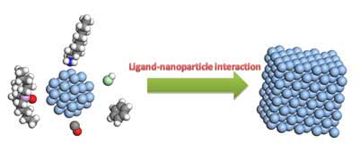 Hong Yang | Chemical and Biomolecular Engineering | UIUC