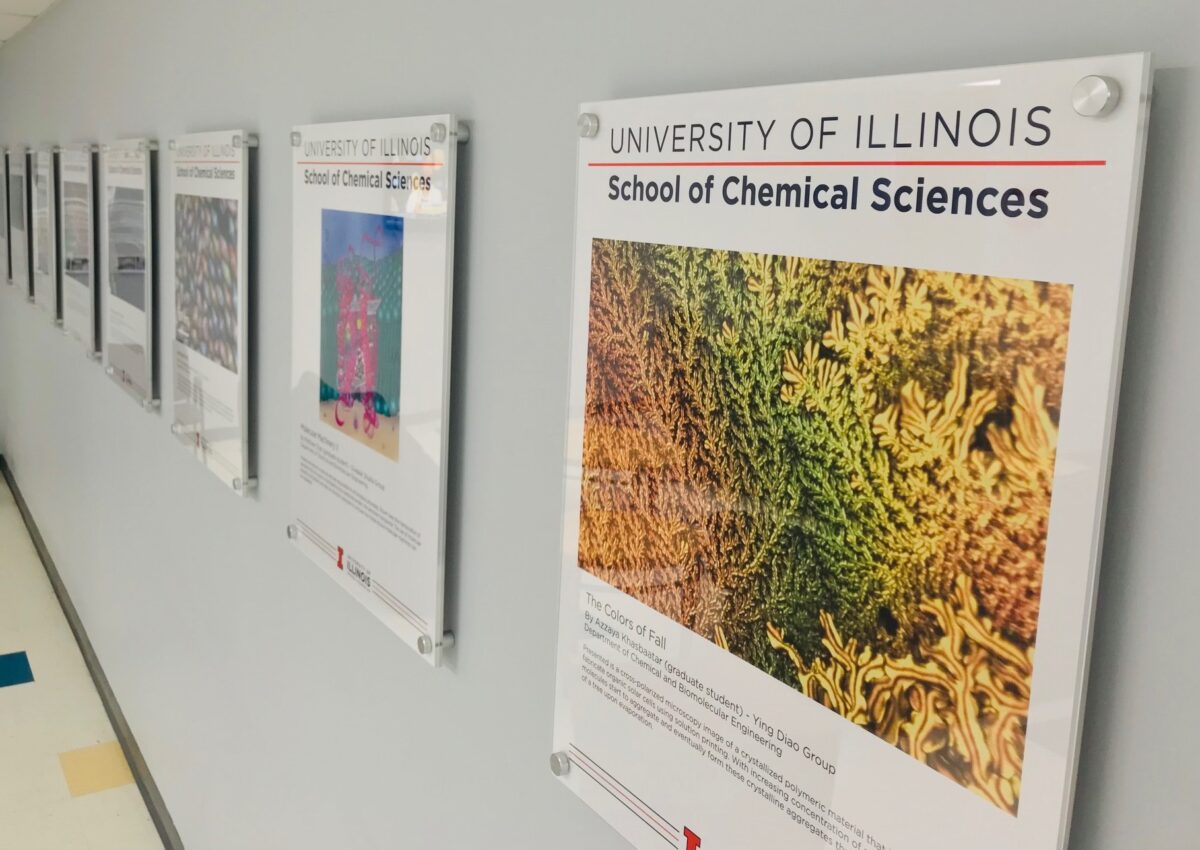 ChBE students named finalists in 2020 Science Image Challenge ...